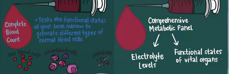 Why You Should Do Regular Blood Tests: Benefits of Blood Testing and ...